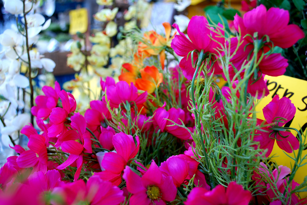 Flower Power: How Flowers Can Improve Your Mood