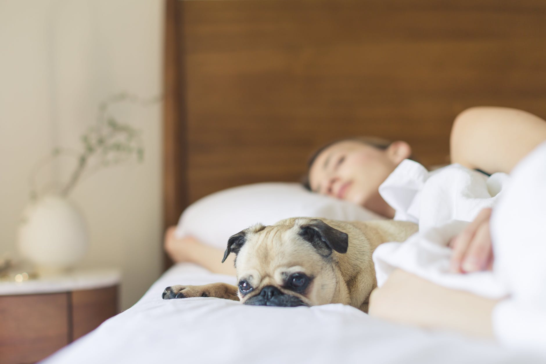 7 Top Tips To Improve Your Sleep This Summer
